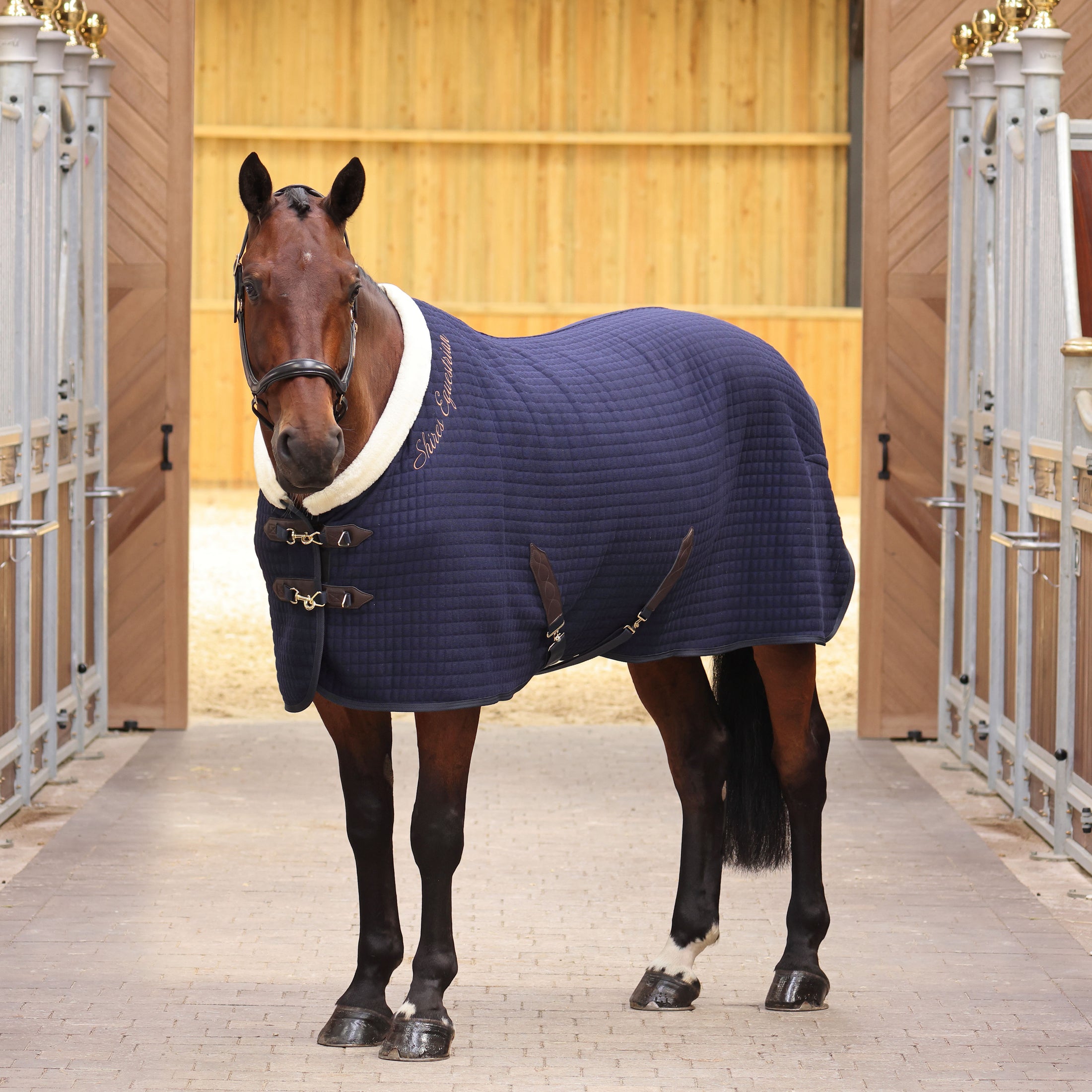 Shires Equestrian USA | Horse Riding Clothing, Equestrian Supplies