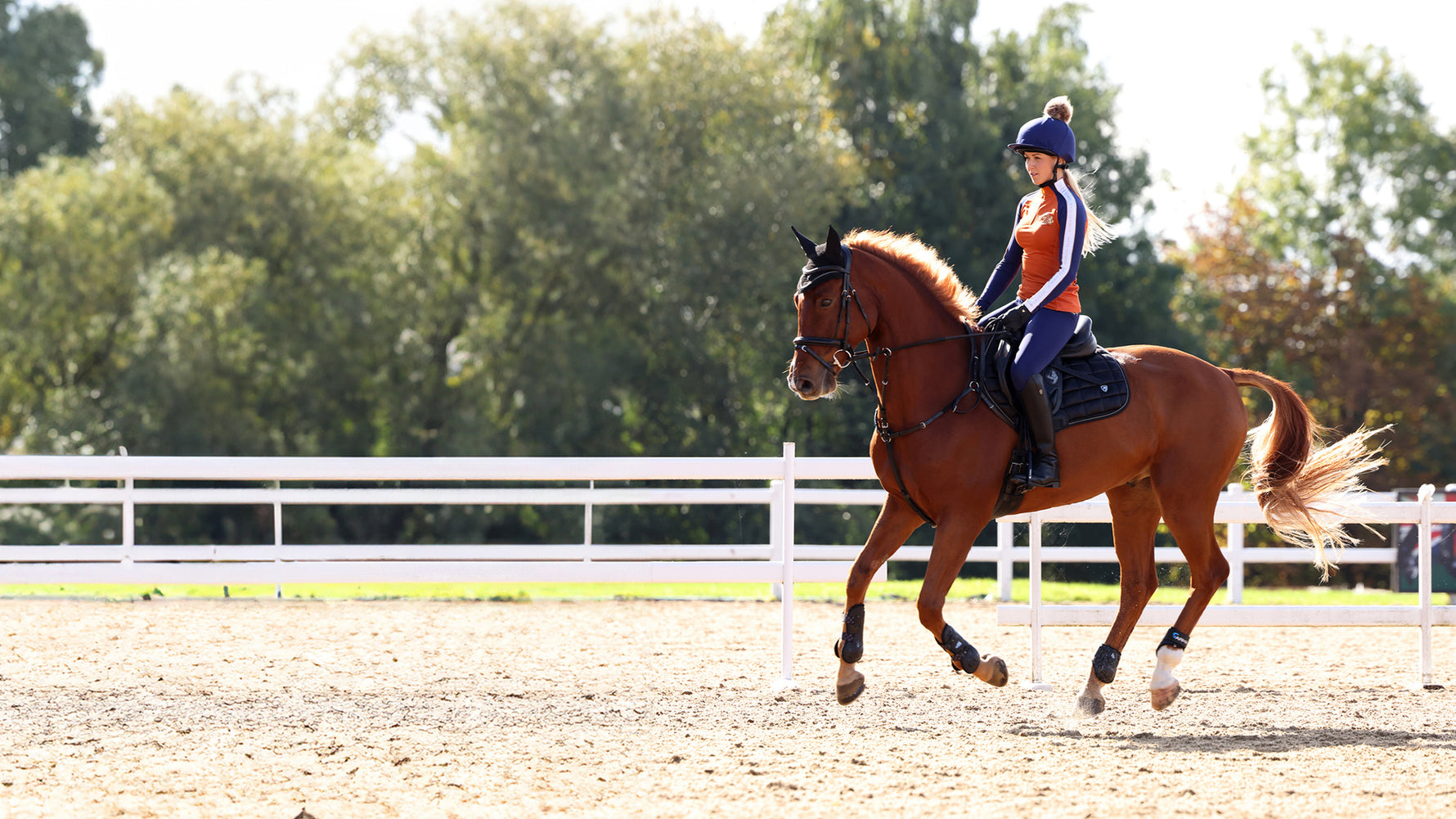 Shires Equestrian USA | Horse Riding Clothing, Equestrian Supplies