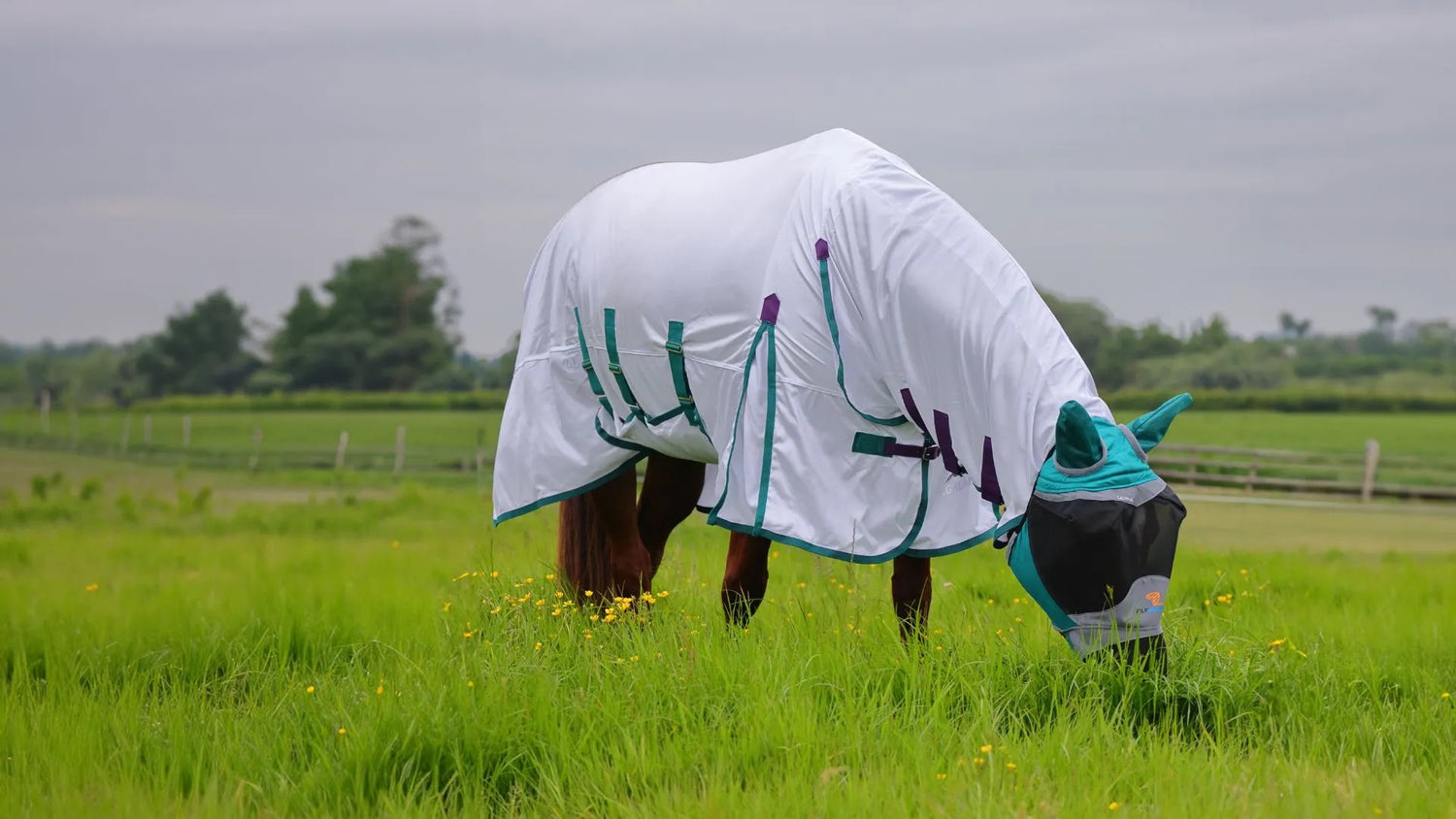 Shires Equestrian USA | Horse Riding Clothing, Equestrian Supplies